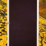 Sliding Screen Doors and Swinging Screen Doors Installation